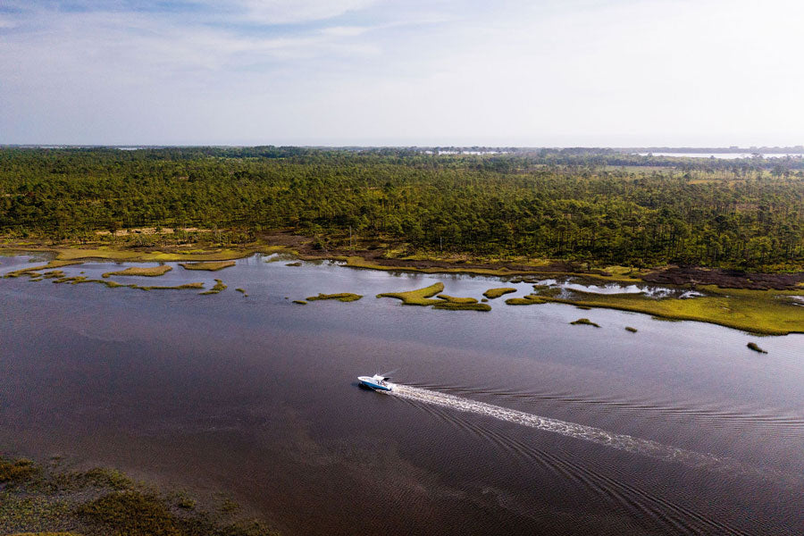 Florida Red Fish Regulations | Fishing For Florida Red Fish 101