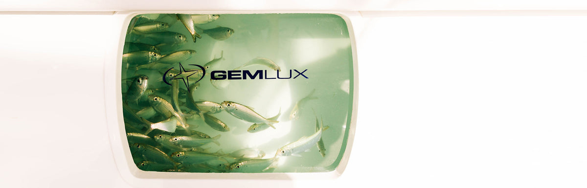 Livewell Tank & Drain Valve System | Boat Livewell Parts & Fittings